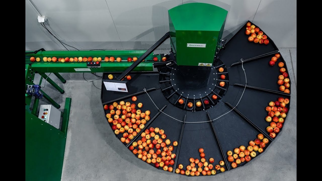 Fruit Sorting Equipment Market - Forecast (2022 - 2027) Fruit Sorting Equipment Market - Forecast (2022 - 2027)