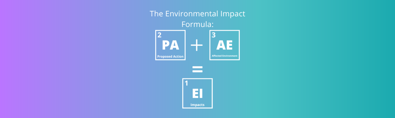 Streamlining Environmental Impact Analysis Through Quantification Streamlining Environmental Impact Analysis Through Quantification