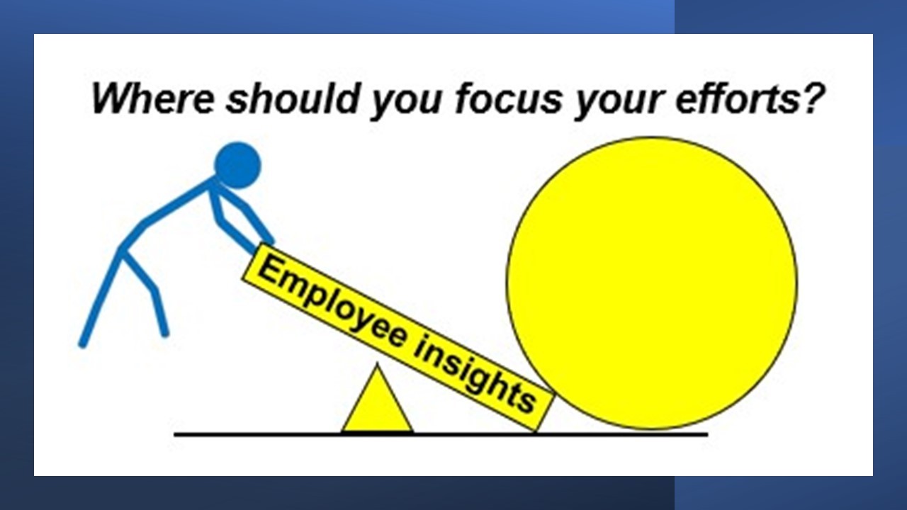 Leverage Employee Insights Leverage Employee Insights