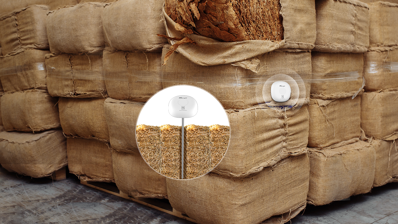 Empowering Insertion Temperature Monitoring Applications with Milesight ... Empowering Insertion Temperature Monitoring Applications with Milesight ...
