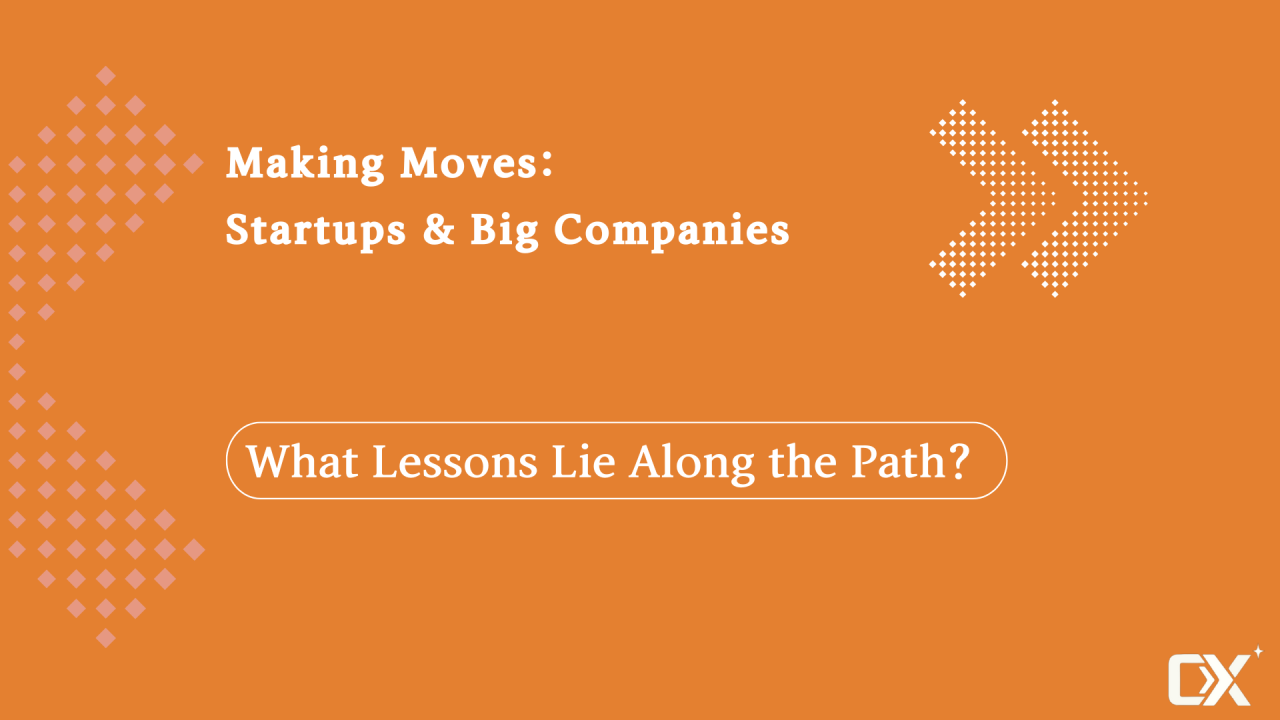 Navigating Transitions | Startups | Big Companies Navigating Transitions | Startups | Big Companies