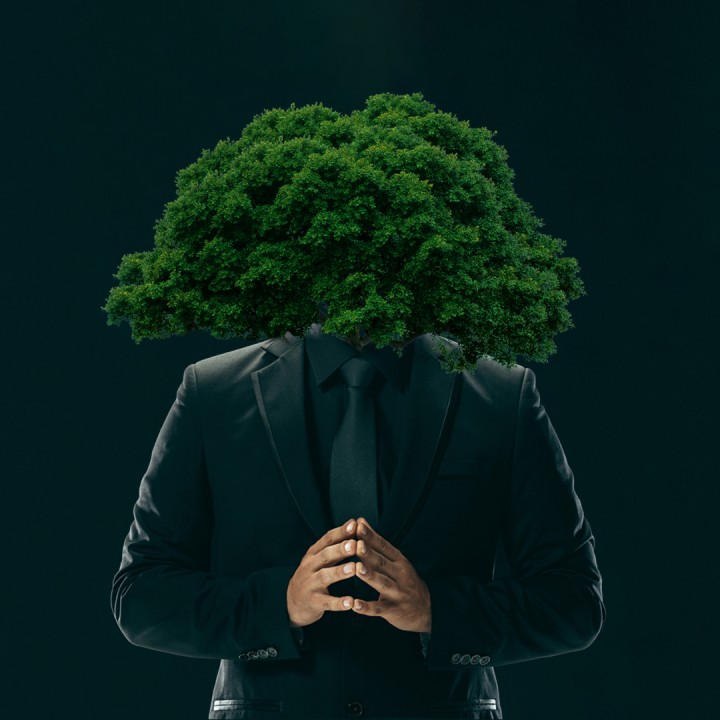 Why Consider Sustainability in Your Business Why Consider Sustainability in Your Business