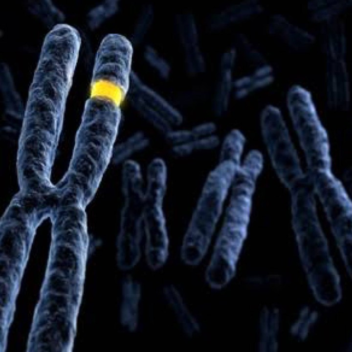 Unlocking Genetic Mysteries: Exploring Advances and Trends in the ... Unlocking Genetic Mysteries: Exploring Advances and Trends in the ...