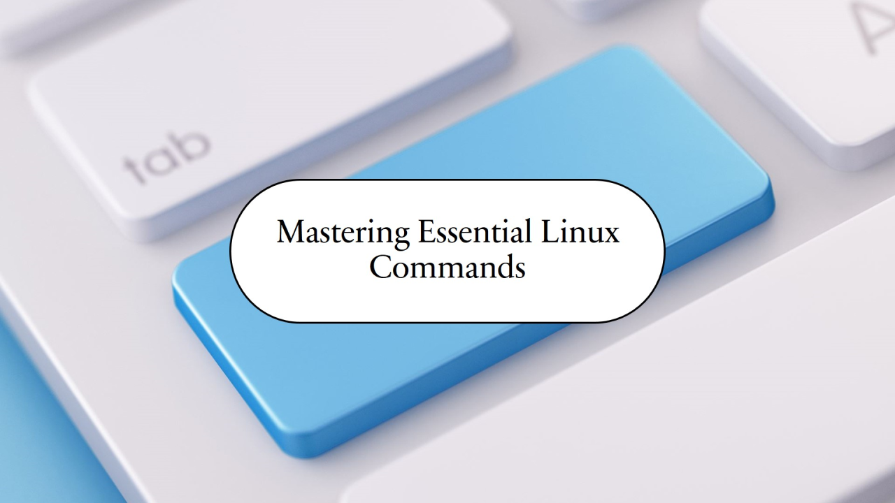 Mastering Essential Linux Commands: A Comprehensive Guide Mastering Essential Linux Commands: A Comprehensive Guide