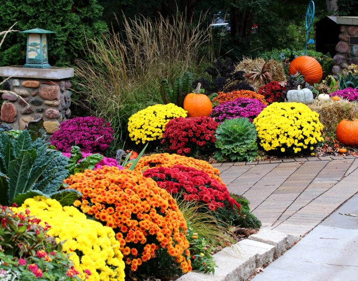 Enhancing Your Home's Beauty: Fall Landscaping Tips Enhancing Your Home's Beauty: Fall Landscaping Tips