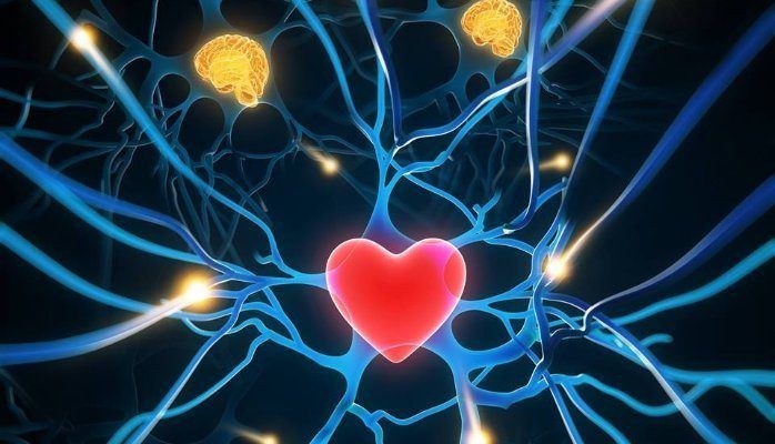 Complex Neural Networks: mBraining Demystified Complex Neural Networks: mBraining Demystified