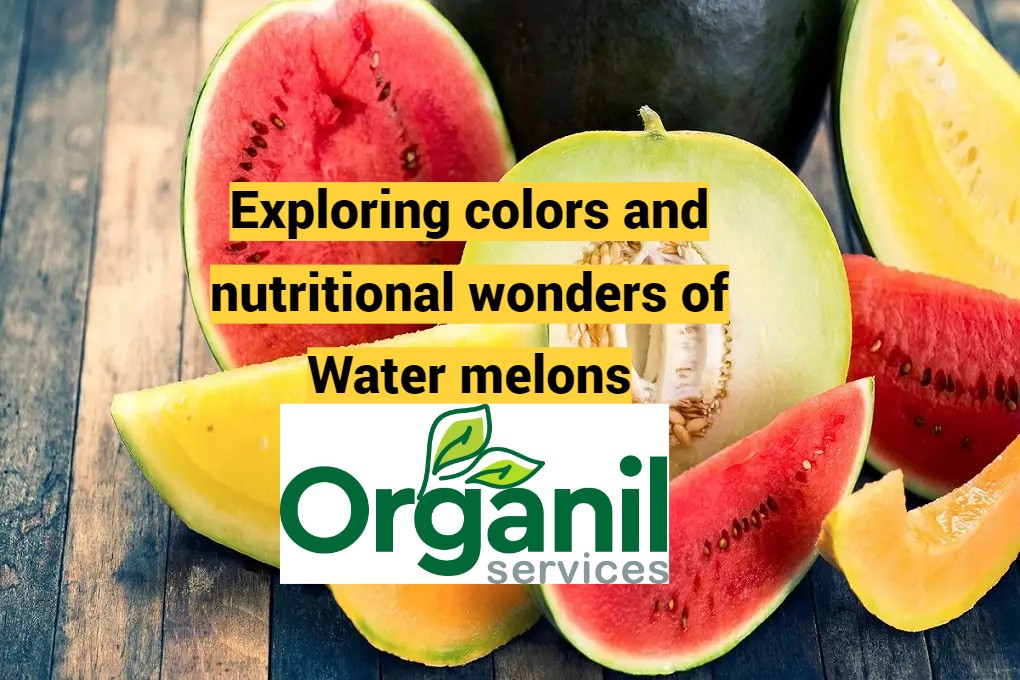 The Kaleidoscope of Watermelons: Exploring Colors and Nutritional Wonders The Kaleidoscope of Watermelons: Exploring Colors and Nutritional Wonders