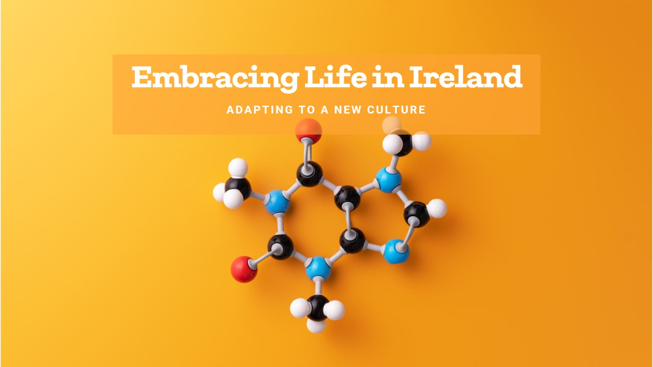 Navigating Life in Ireland: Essential Tips for Newcomers Navigating Life in Ireland: Essential Tips for Newcomers
