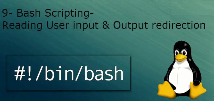 Day4: Basic Linux Shell Scripting Day4: Basic Linux Shell Scripting