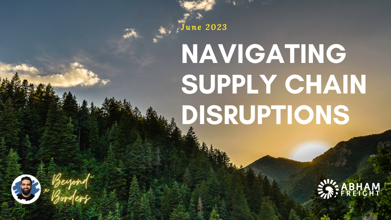 Navigating Supply Chain Disruptions: Strategies for Resilience and Recovery Navigating Supply Chain Disruptions: Strategies for Resilience and Recovery