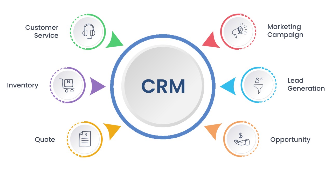 Navigating the CRM Jungle: A No-Nonsense Guide Navigating the CRM Jungle: A No-Nonsense Guide