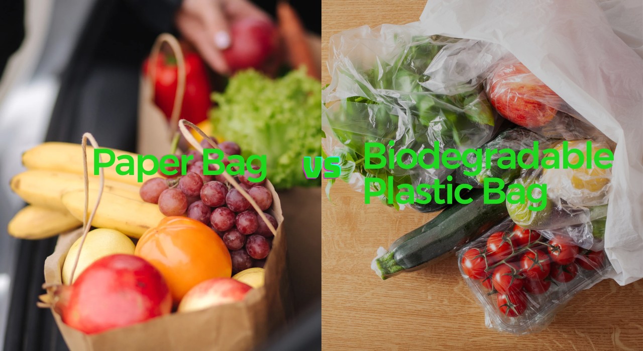Making the Right Choice: Paper Bags vs Biodegradable Plastic Bags Making the Right Choice: Paper Bags vs Biodegradable Plastic Bags