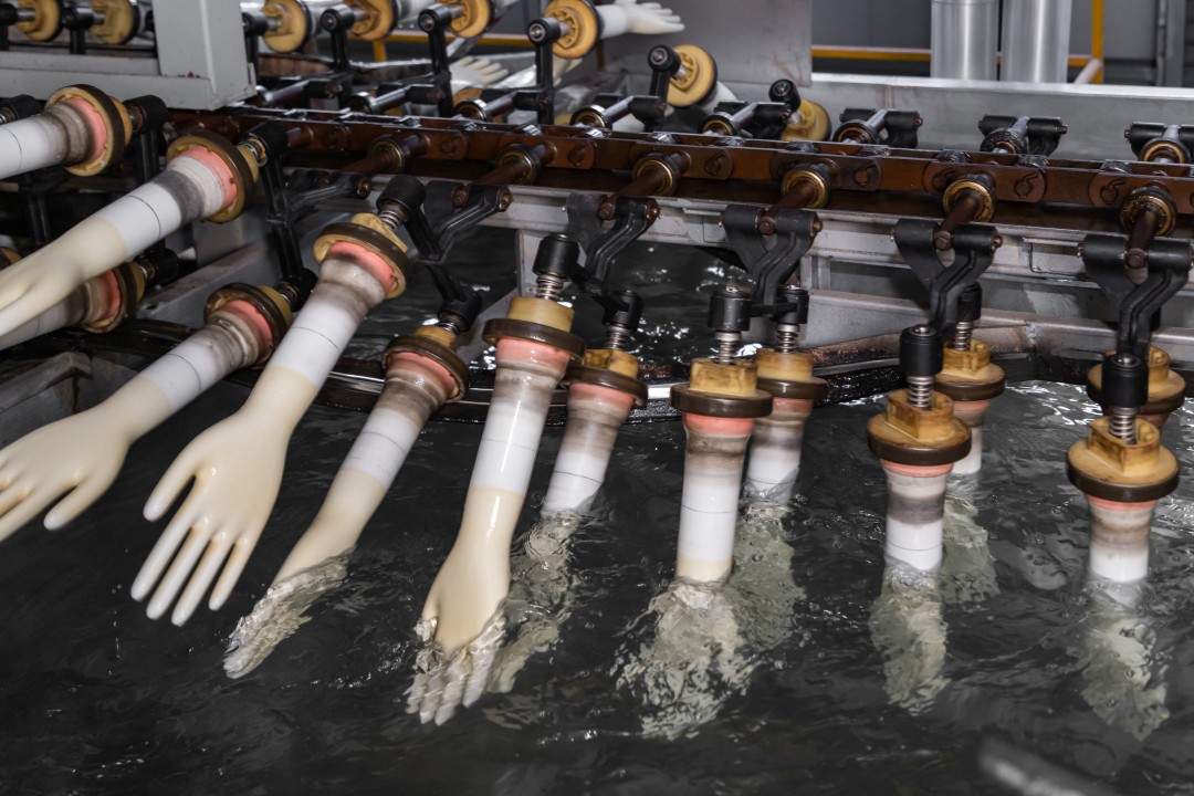 Evolving Market, Evolving Strategies: Ensuring Glove Business Success Evolving Market, Evolving Strategies: Ensuring Glove Business Success