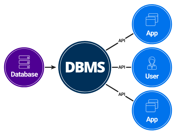 Database vs. DBMS: Unraveling the Key Differences with Real-Time Examples Database vs. DBMS: Unraveling the Key Differences with Real-Time Examples
