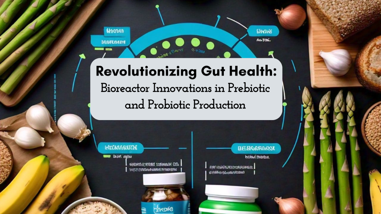 Revolutionizing Gut Health: Bioreactor Innovations in Prebiotic and ... Revolutionizing Gut Health: Bioreactor Innovations in Prebiotic and ...