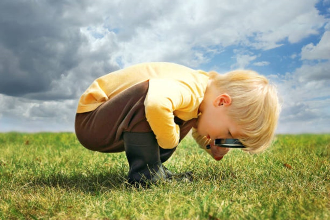 Re-discover your Curiosity Re-discover your Curiosity
