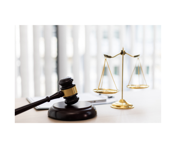 State AI Legislation: Rapid Developments in 2024 State AI Legislation: Rapid Developments in 2024