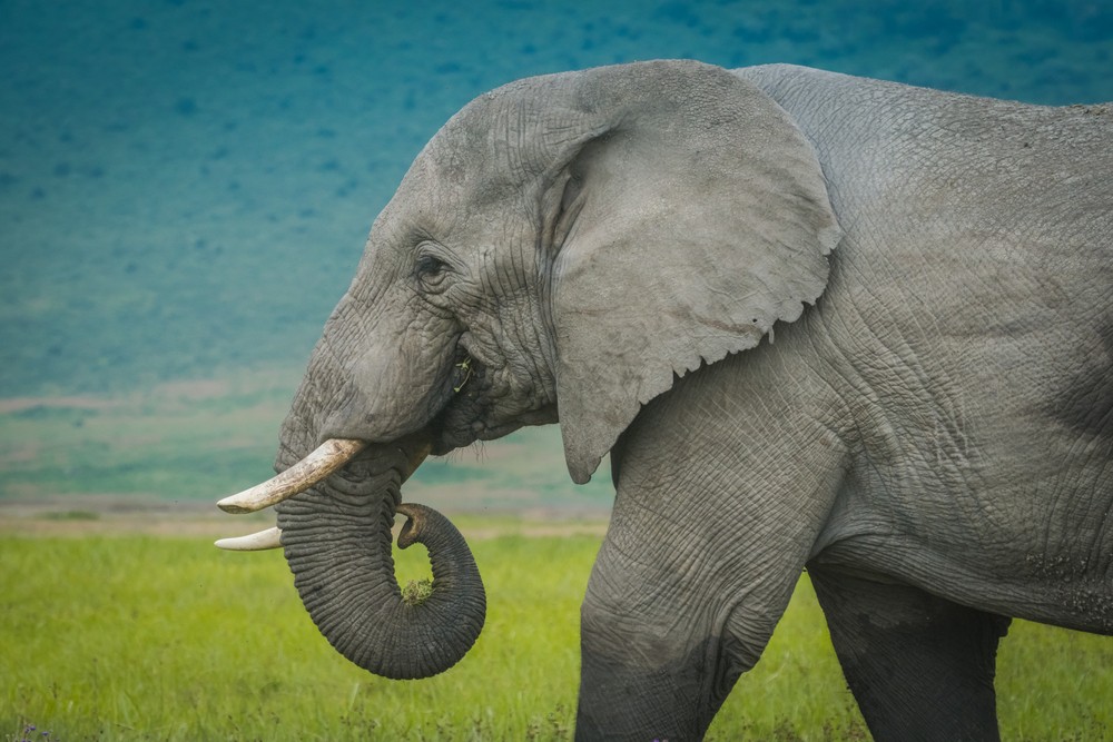 Effective PostgreSQL Transaction Log Management: Essential Tips for ... Effective PostgreSQL Transaction Log Management: Essential Tips for ...