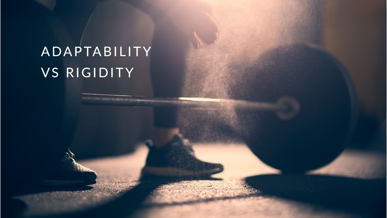 Adaptability vs Rigidity Adaptability vs Rigidity