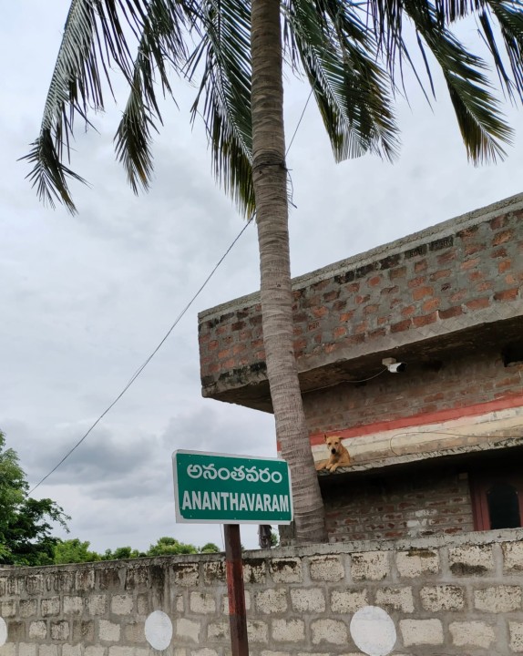 SOCIAL INTERNSHIP (ANANTHAVARAM) SOCIAL INTERNSHIP (ANANTHAVARAM)