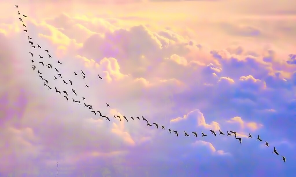 Recommendations for a successful Azure migration project Recommendations for a successful Azure migration project