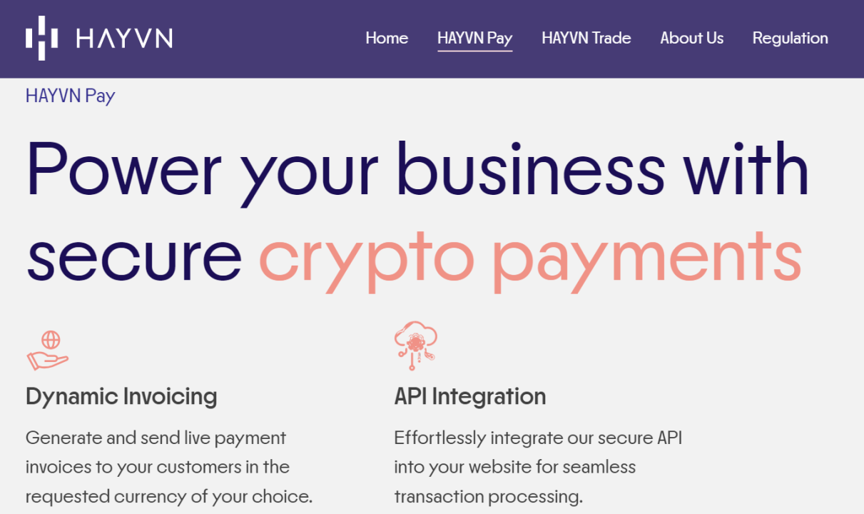 HAYVN: Bridging the Gap Between Traditional Finance and Digital Assets HAYVN: Bridging the Gap Between Traditional Finance and Digital Assets