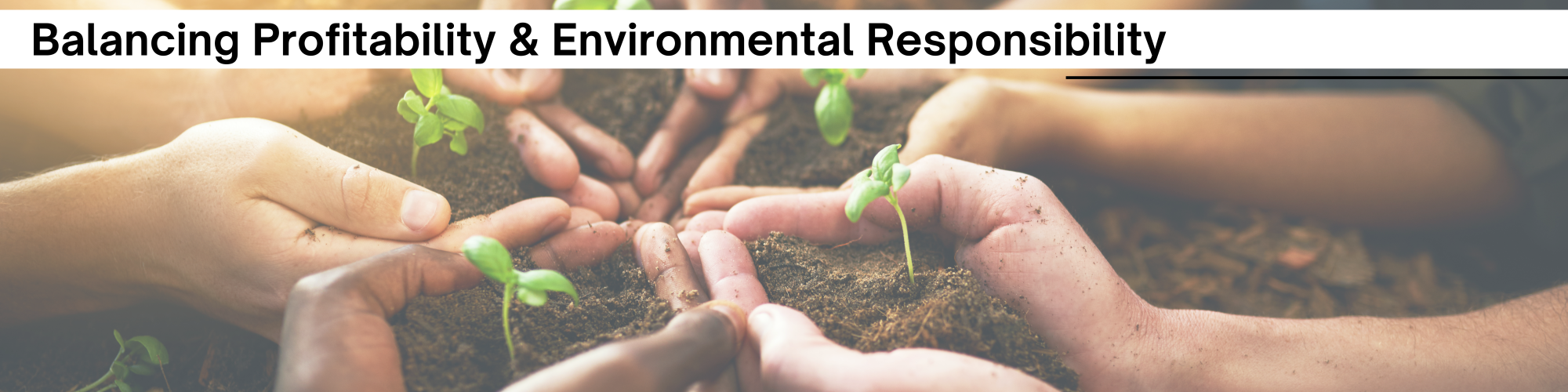 Balancing Profitability & Environmental Responsibility Balancing Profitability & Environmental Responsibility