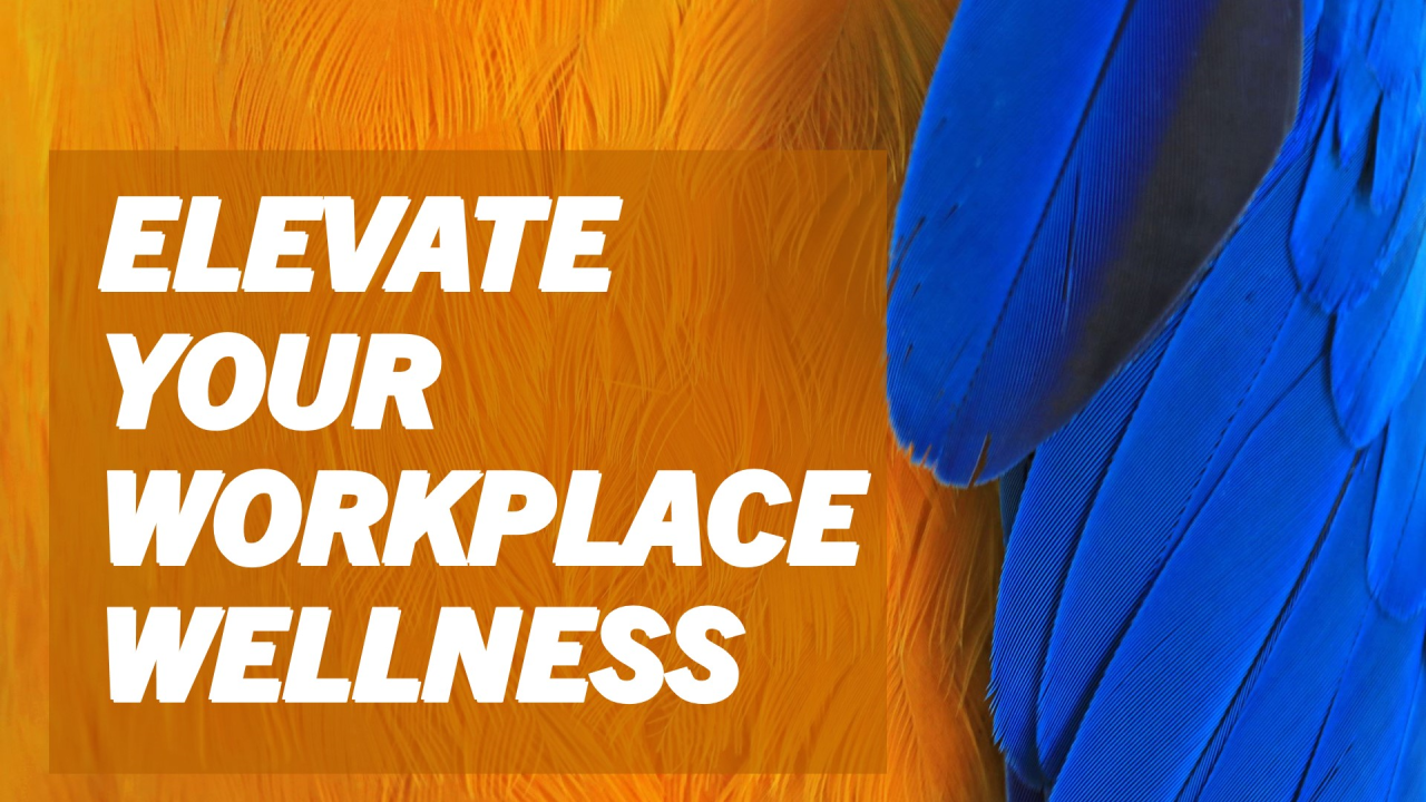 The Pillars of Wellness: Elevating Employee Well-being in the Workplace The Pillars of Wellness: Elevating Employee Well-being in the Workplace