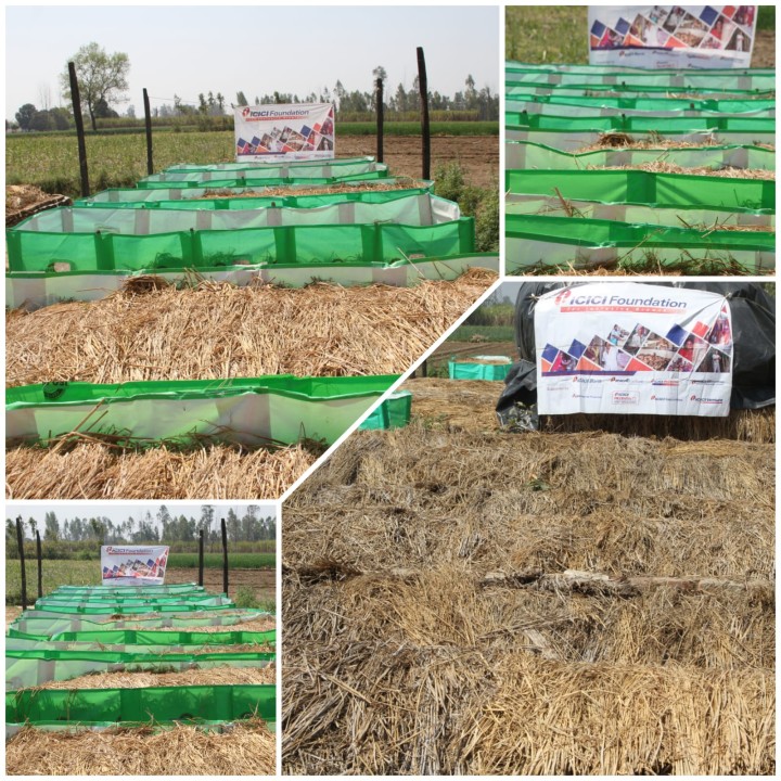 From Soil to Success: The Inspiring Journey of Tarun Kumar in ... From Soil to Success: The Inspiring Journey of Tarun Kumar in ...