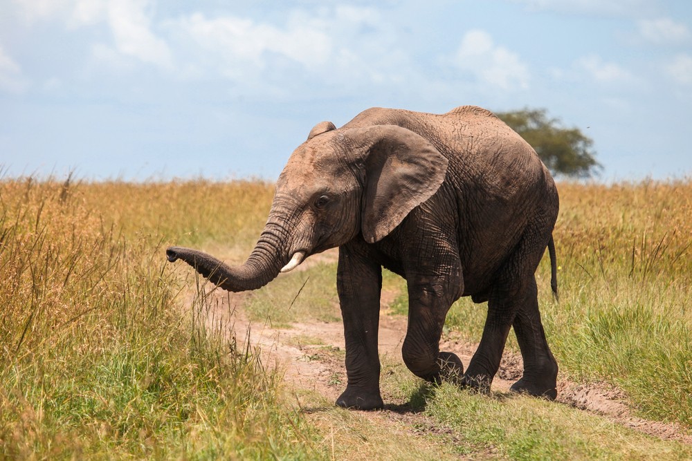 Maximizing Efficiency with Parallel Queries in PostgreSQL: A ... Maximizing Efficiency with Parallel Queries in PostgreSQL: A ...