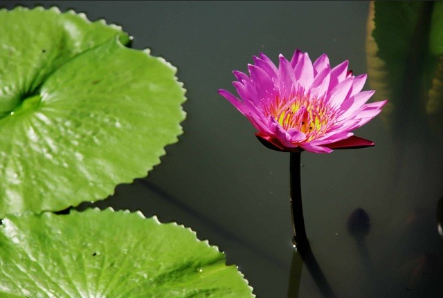 Are Scientists Getting Close to Creating Life? Are Scientists Getting Close to Creating Life?