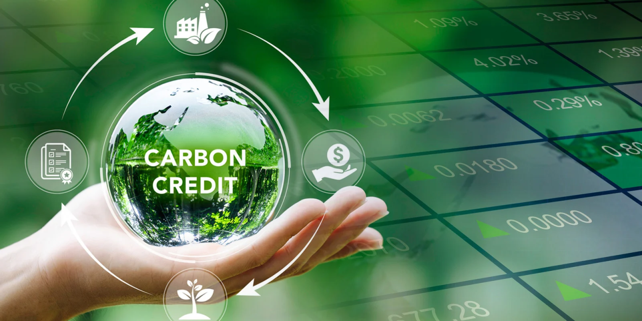 Voluntary Carbon Credit Market Trends is Electrifying Growth Cycle ... Voluntary Carbon Credit Market Trends is Electrifying Growth Cycle ...