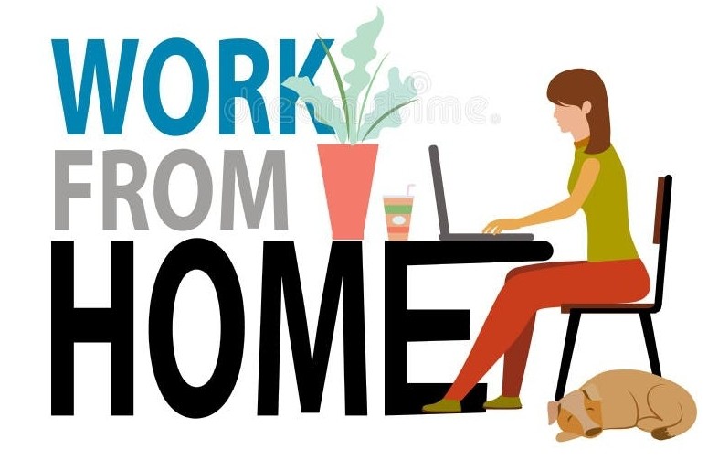 Hiring for fresher and Interns|May &June 2024|Apply Now Hiring for fresher and Interns|May &June 2024|Apply Now