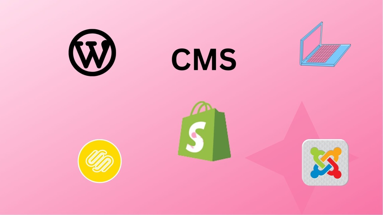 What is CMS and why is it for? What is CMS and why is it for?