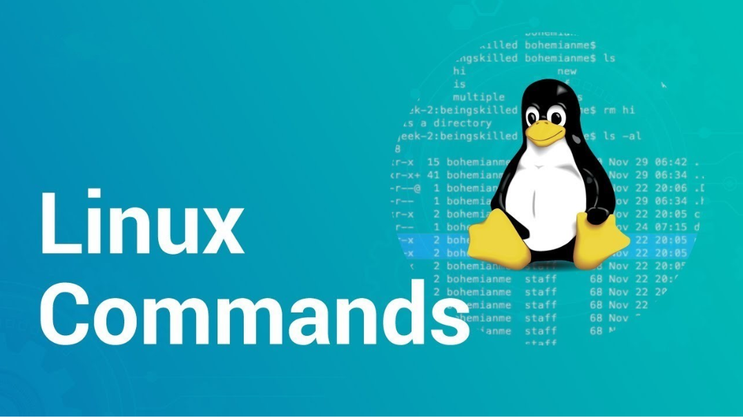 Day 3 - Essential Linux Commands for File Management and Manipulation Day 3 - Essential Linux Commands for File Management and Manipulation