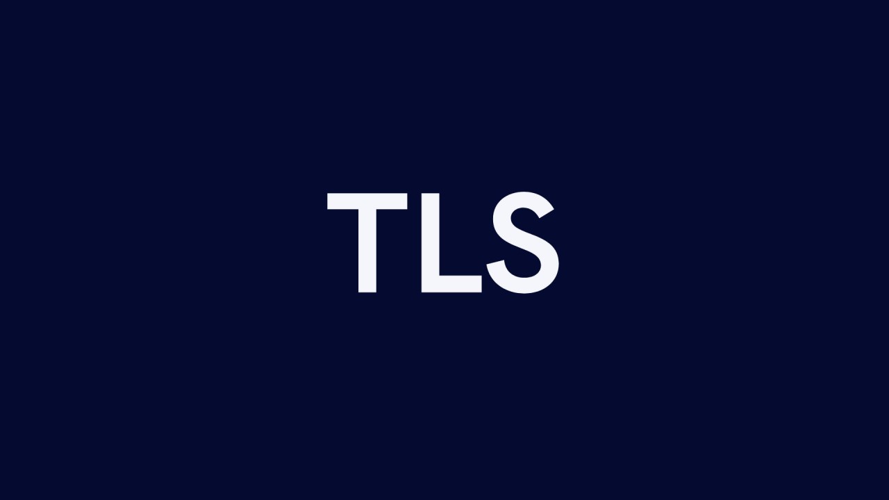 Understanding TLS: The Cornerstone of Secure Internet Communication Understanding TLS: The Cornerstone of Secure Internet Communication
