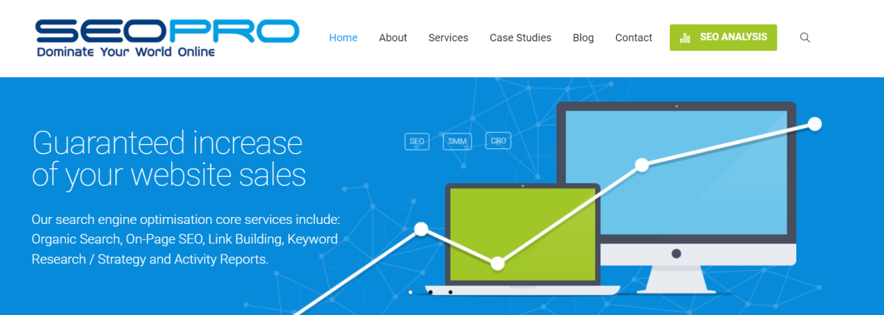 The Ultimate Small Business SEO Guide The Ultimate Small Business SEO Guide