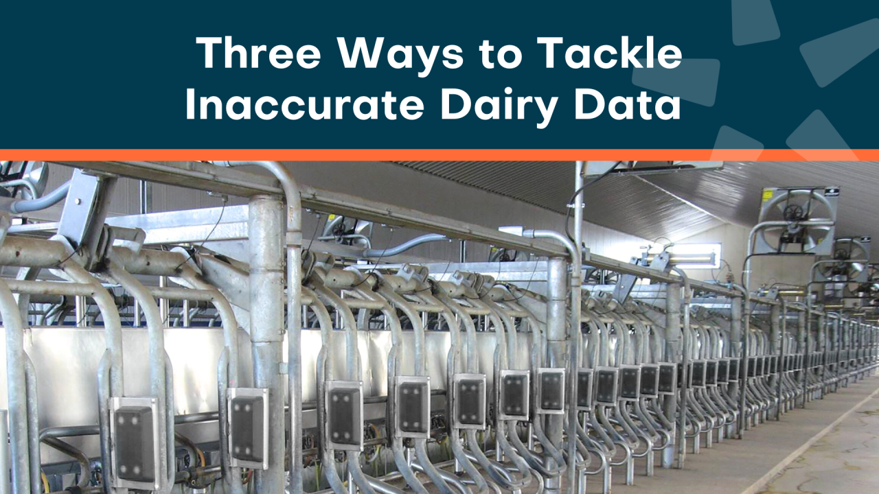 Three Ways to Tackle Inaccurate Dairy Data Three Ways to Tackle Inaccurate Dairy Data