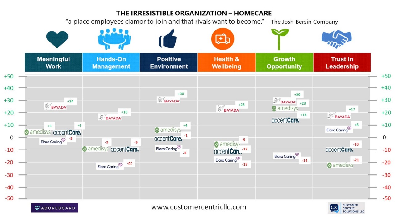 The Irresistible Organization - Benchmarking Four Homecare Companies The Irresistible Organization - Benchmarking Four Homecare Companies