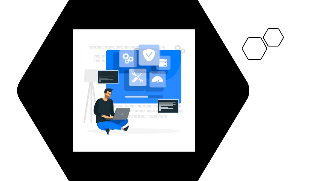 Balancing Software Customization and Standardization Balancing Software Customization and Standardization