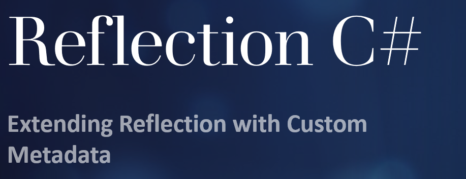 Extending Reflection with Custom Metadata Extending Reflection with Custom Metadata