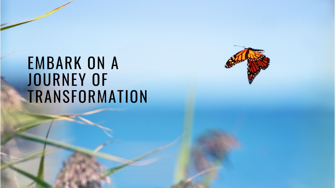 The Conscious Journey Towards Transformation & Growth The Conscious Journey Towards Transformation & Growth