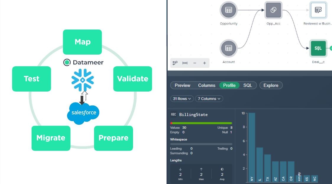 Streamlining Salesforce Data Migration Streamlining Salesforce Data Migration