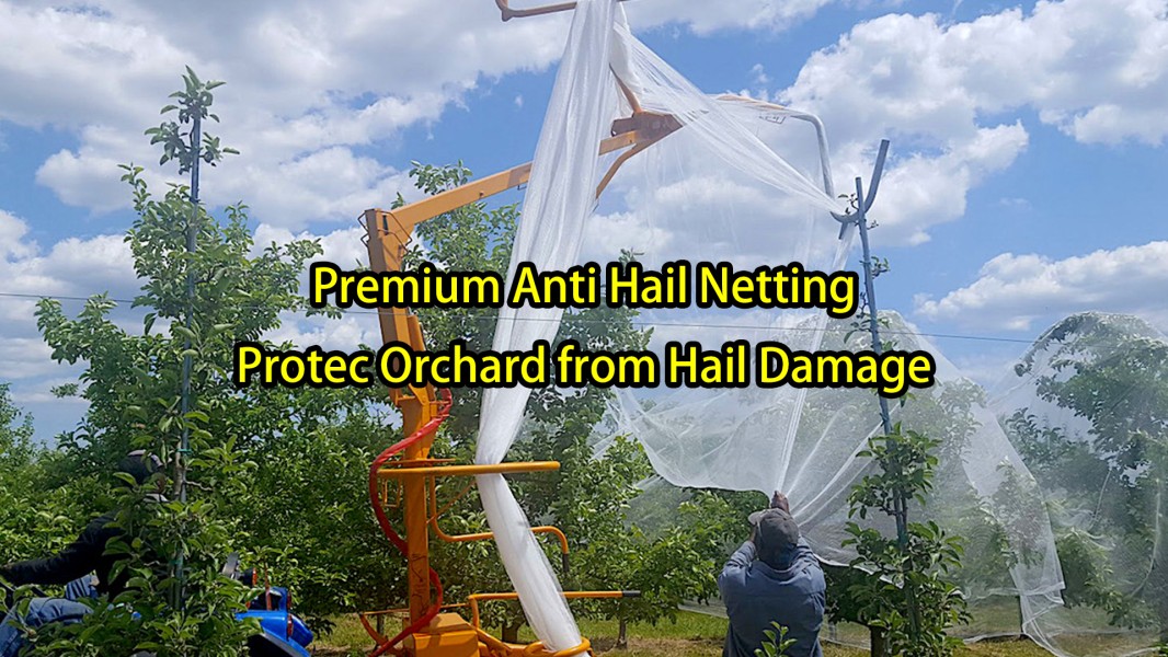 Ultimate Guide to Choosing the 3 Best Types Anti Hail Net Ultimate Guide to Choosing the 3 Best Types Anti Hail Net