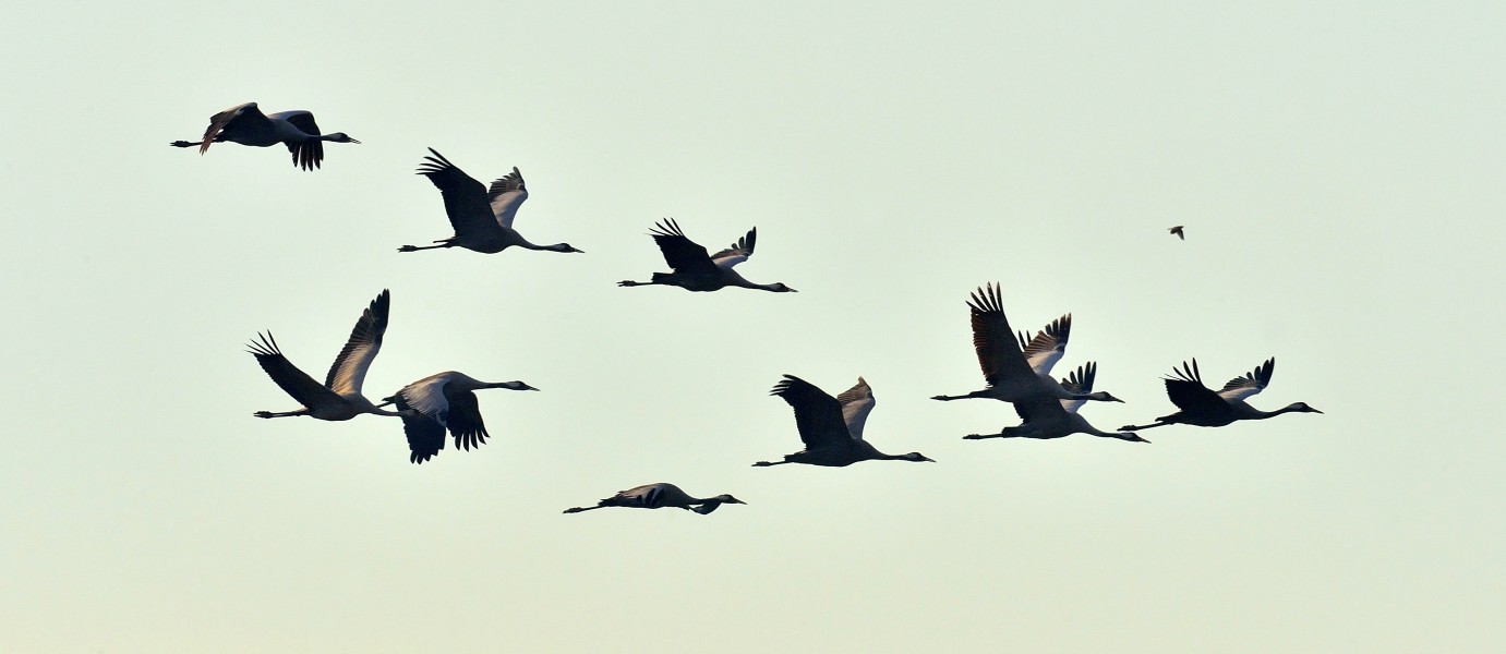Effortless Terraform Migration: Upgrading Resource Definitions to ... Effortless Terraform Migration: Upgrading Resource Definitions to ...
