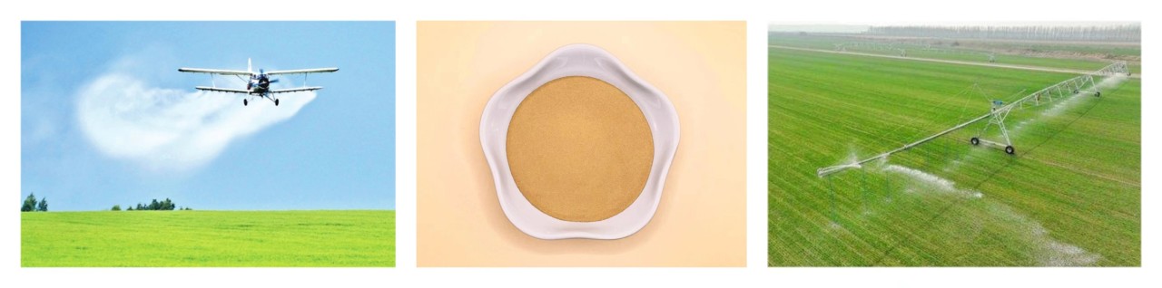 Application of corn steep liquor powder as foliar fertilizer Application of corn steep liquor powder as foliar fertilizer