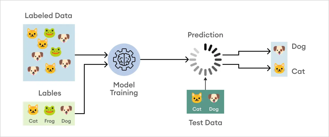 Types of ML Classification Algorithms: Types of ML Classification Algorithms: