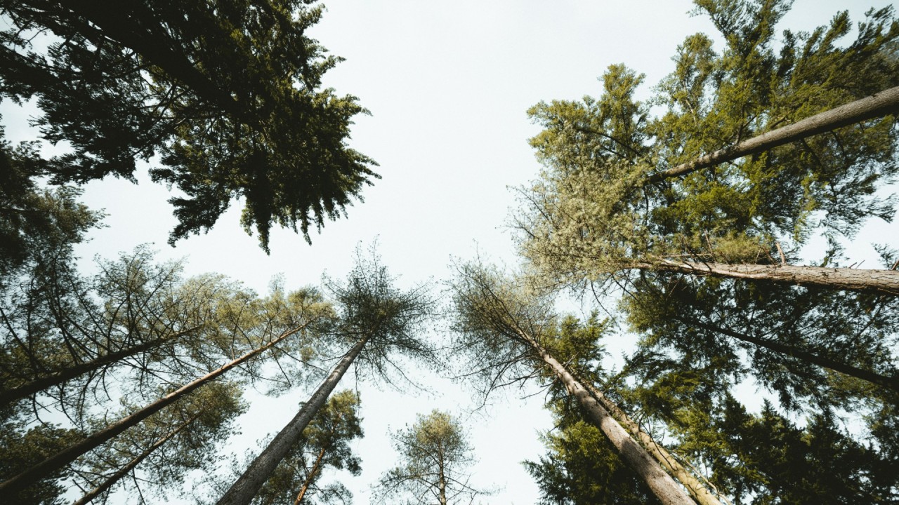 Knowing your values Knowing your values
