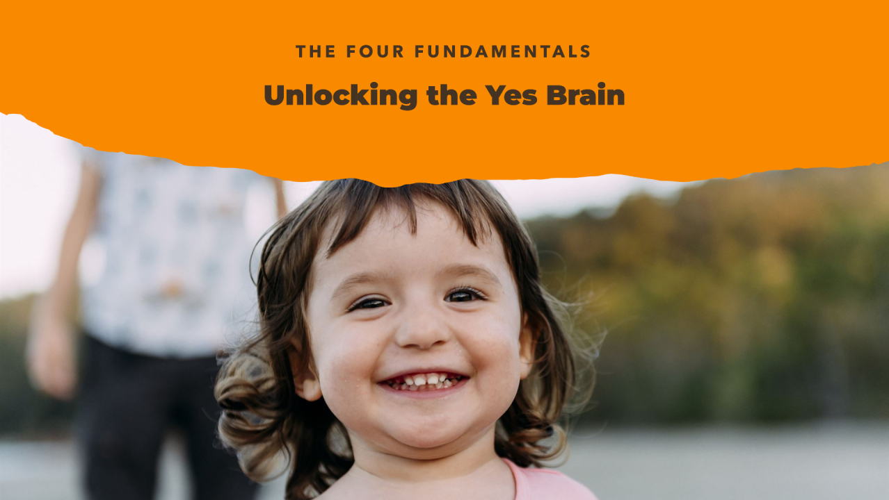 The Four Fundamentals of the Yes Brain: The Four Fundamentals of the Yes Brain: