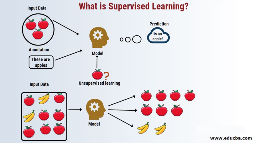 Mastering Supervised Learning Algorithms: From Linear Regression to ... Mastering Supervised Learning Algorithms: From Linear Regression to ...